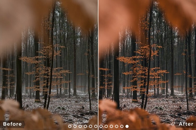 Пресеты - Jan Erik Waider - Master Collection - 3 Capture One ...